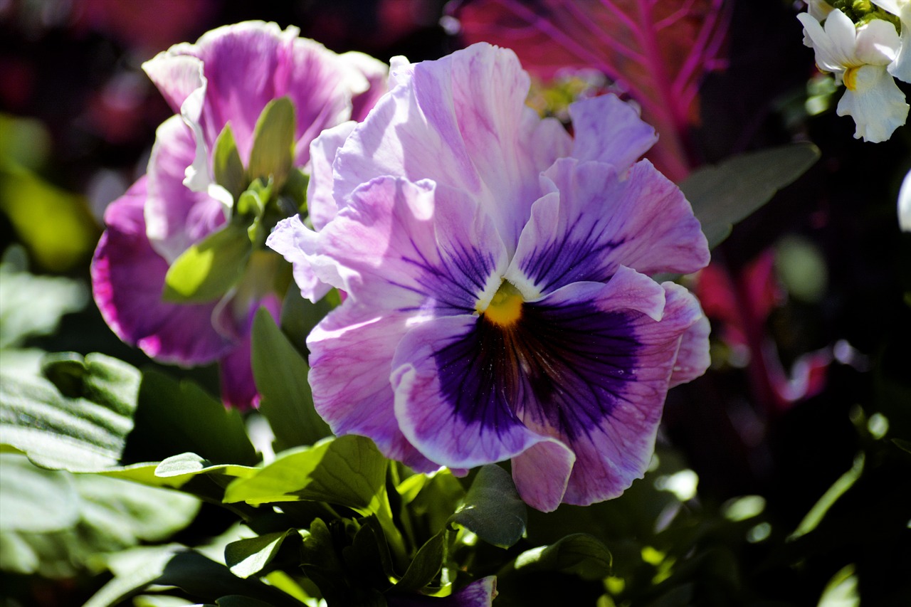 Gärtnerei Reichert Meran – Blumen Floristik Garten