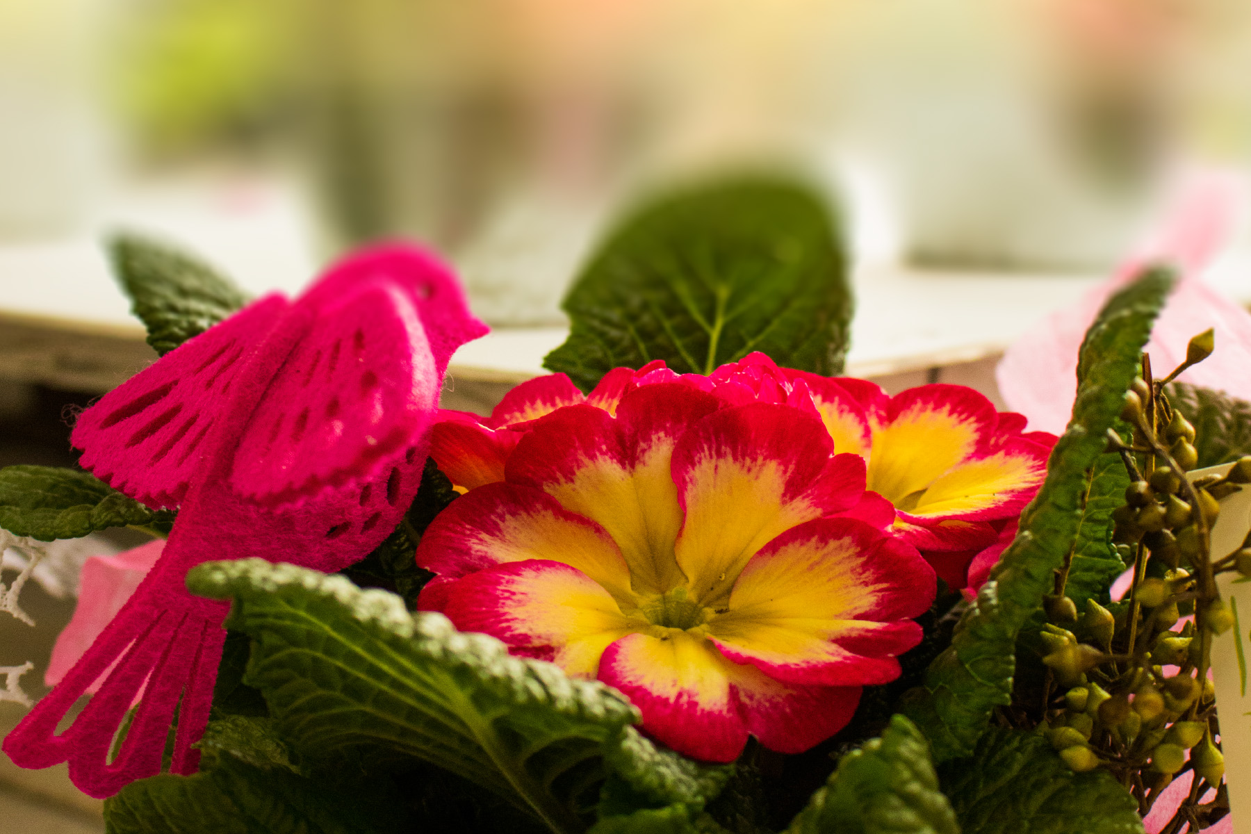 Gärtnerei Reichert Meran – Blumen Floristik Garten